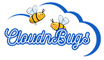 CloudnBugs Web Design Portfolio | Websites & E-Commerce